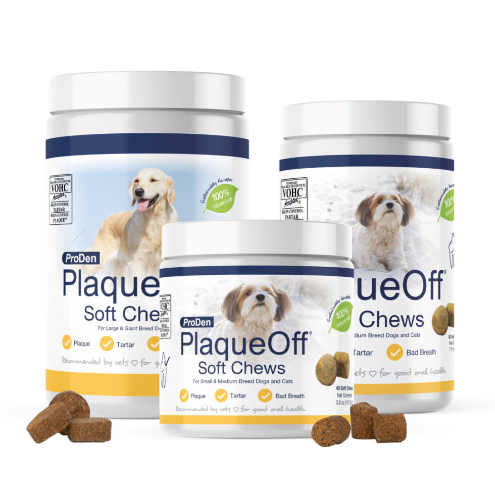 Accepted Products | Veterinary Oral Health Council