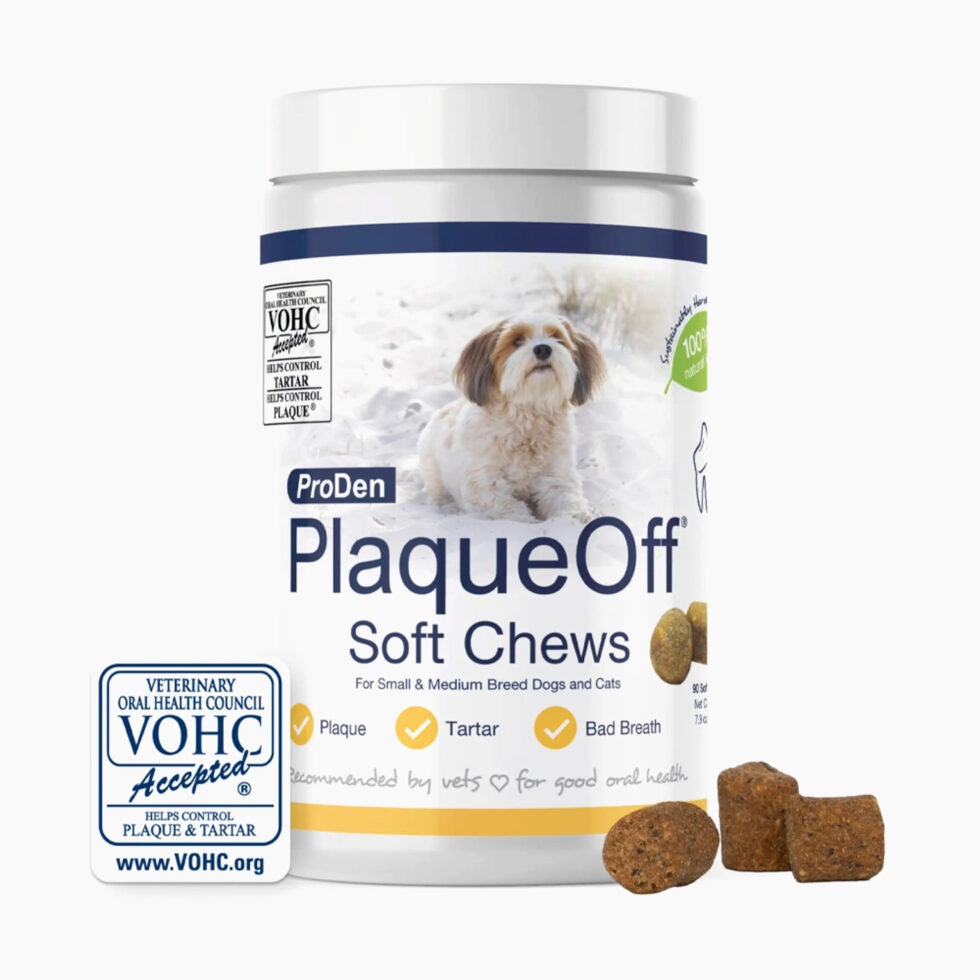 Accepted Products | Veterinary Oral Health Council